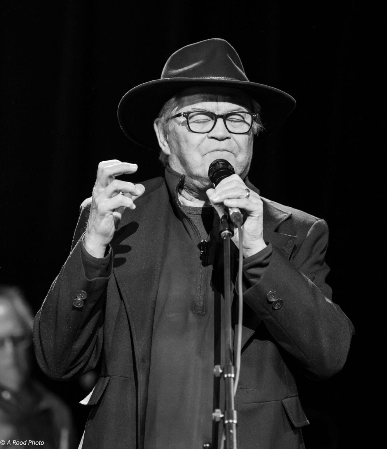 The Benefit Concert For Denny Laine (A Gallery)