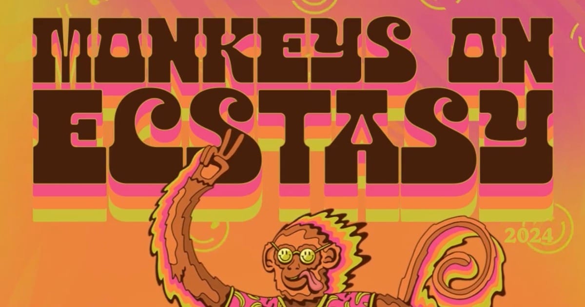 moe. Plot Monkeys On Ecstasy Show in Denver