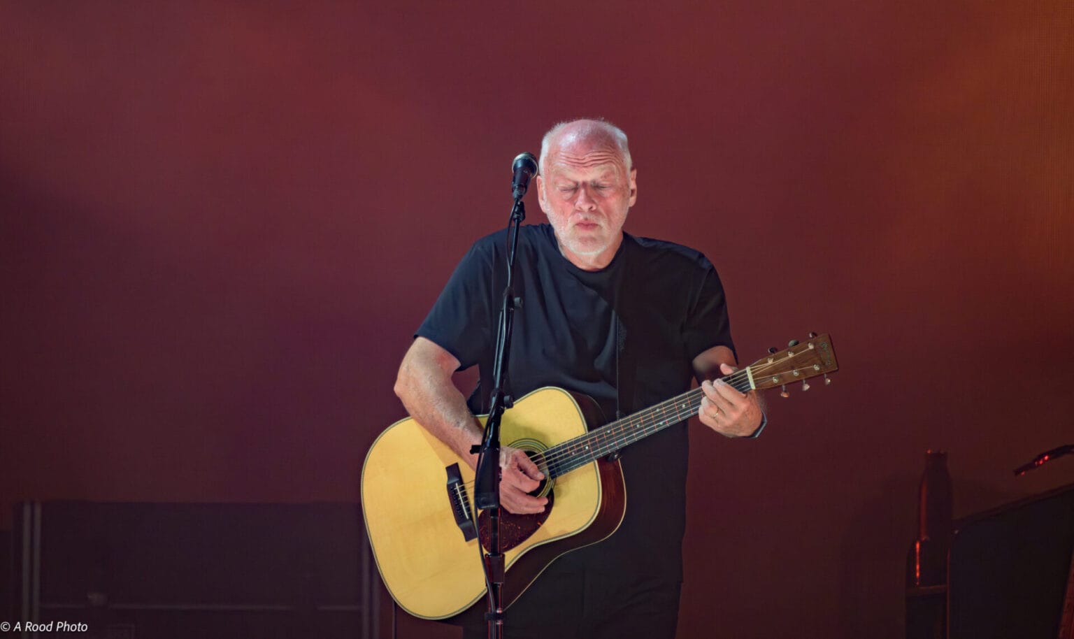 David Gilmour at Los Angeles’ Intuit Dome (A Gallery + Recap)